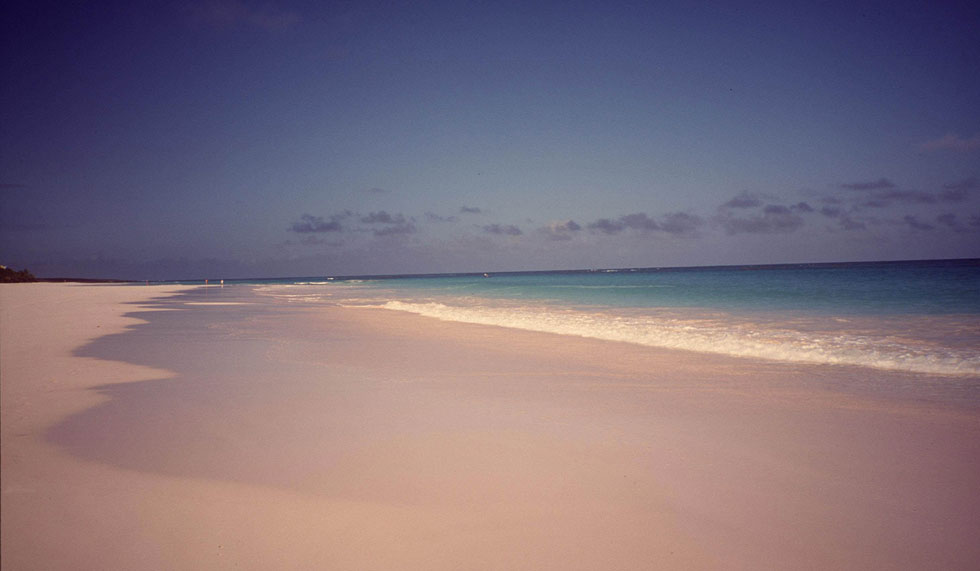 Pink Sands - Worldwide Escapes